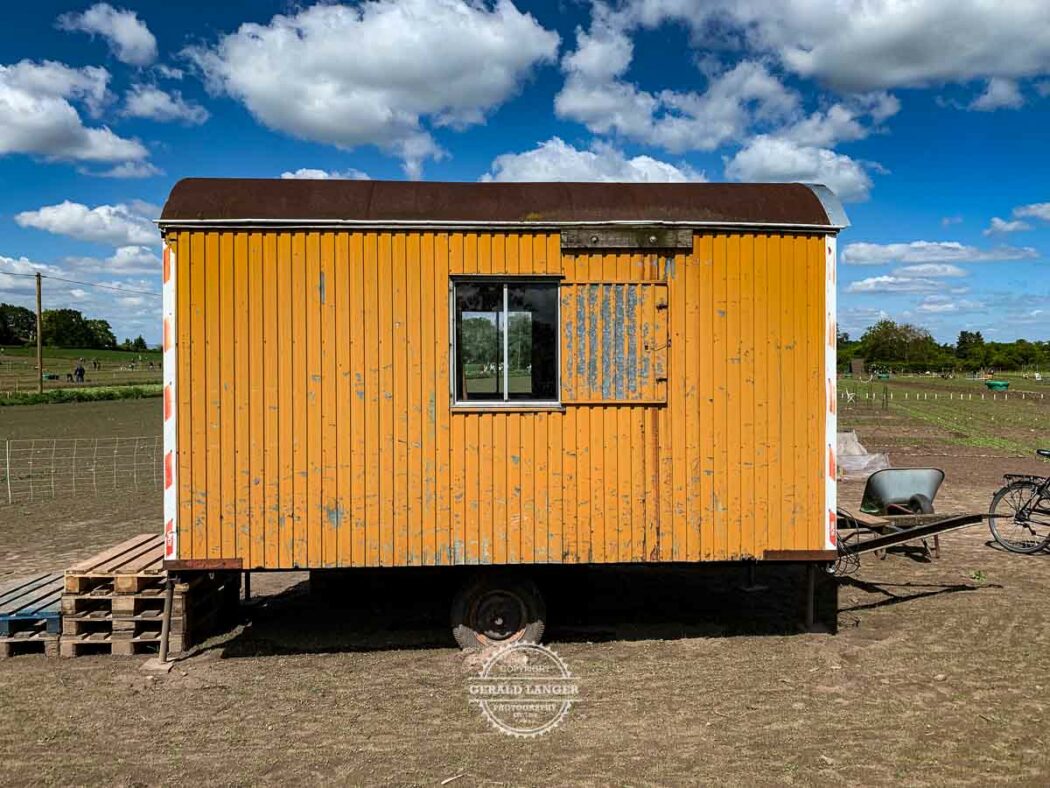 Darmstadt - Wanderung zur Grube Prinz von Hessen (2019)