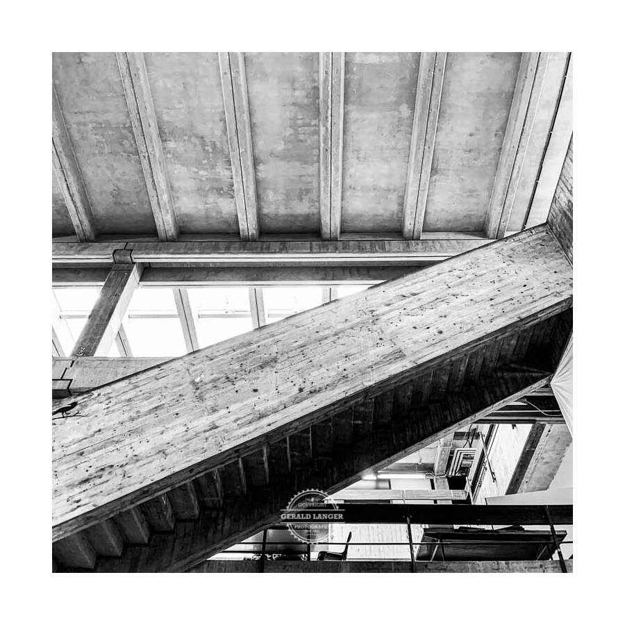 Darmstadt - Wanderung zur Grube Prinz von Hessen (2019)